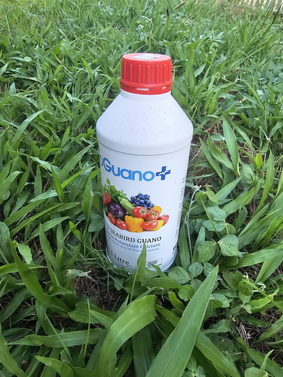 BioGuano+ Liquid Seabird Guano | Phosphorus,Potassium &Calcium for ...