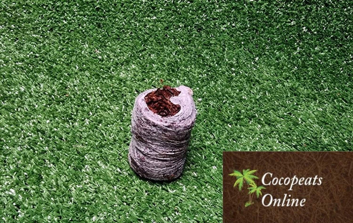Coir Jiffy Pellets 32mm - Seed Starters | Coco Peat | Coco Coir Seed ...