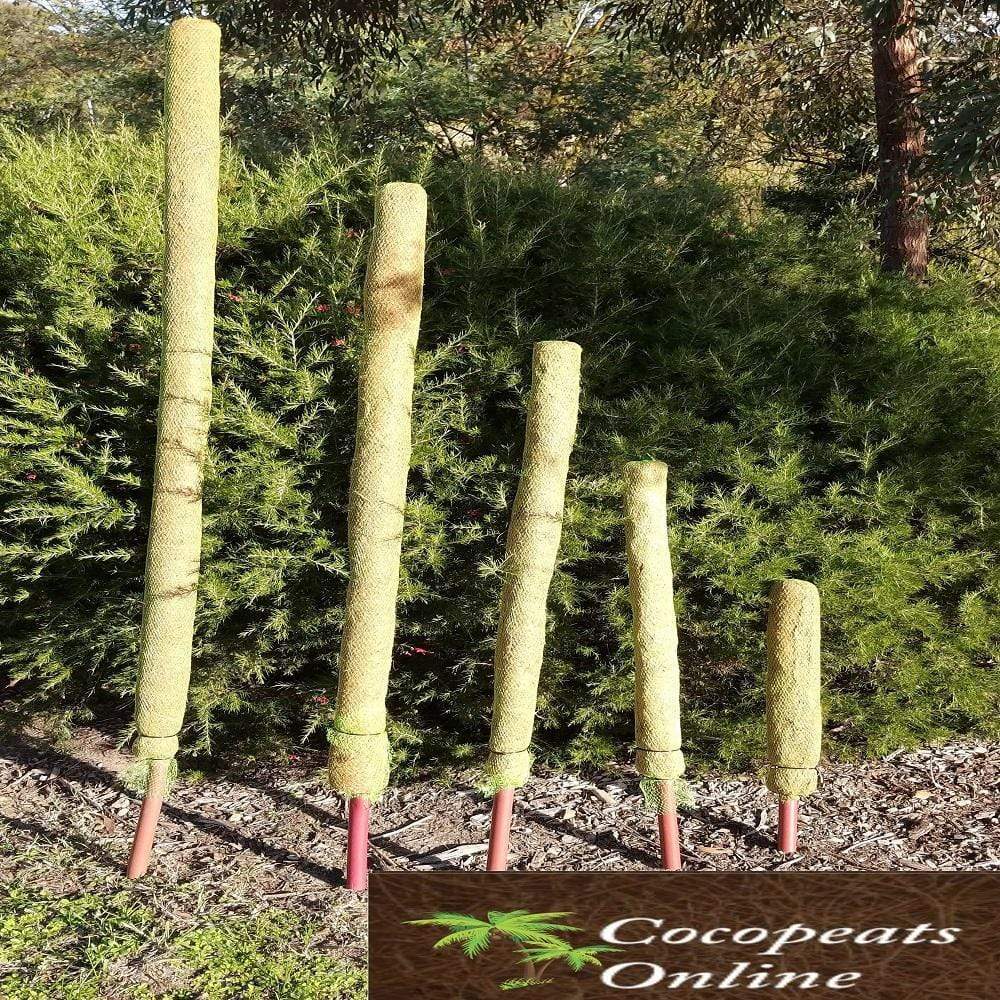 Coco Poles for Creeper Plants (available in 5 sizes) | Moss stick,Coir ...