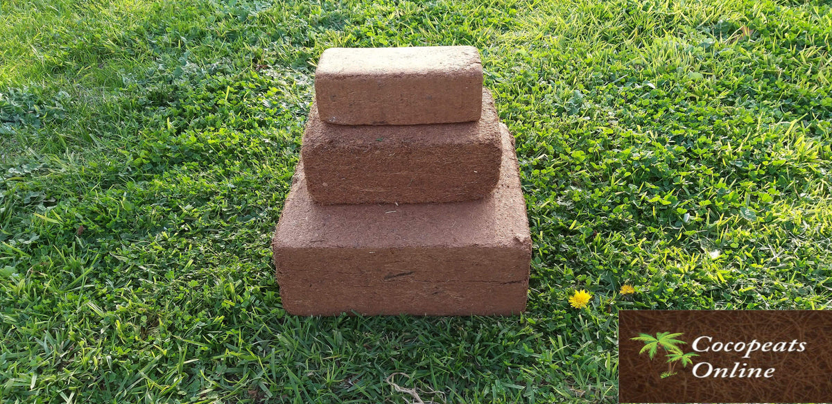 Coir Pith or Coco Peat Low EC Blocks (available in 5 sizes) | Cocopeat ...