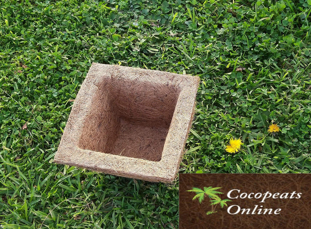 Coir Square Pot pack of 5pcs (available in 2 sizes) | Coir Seed ...
